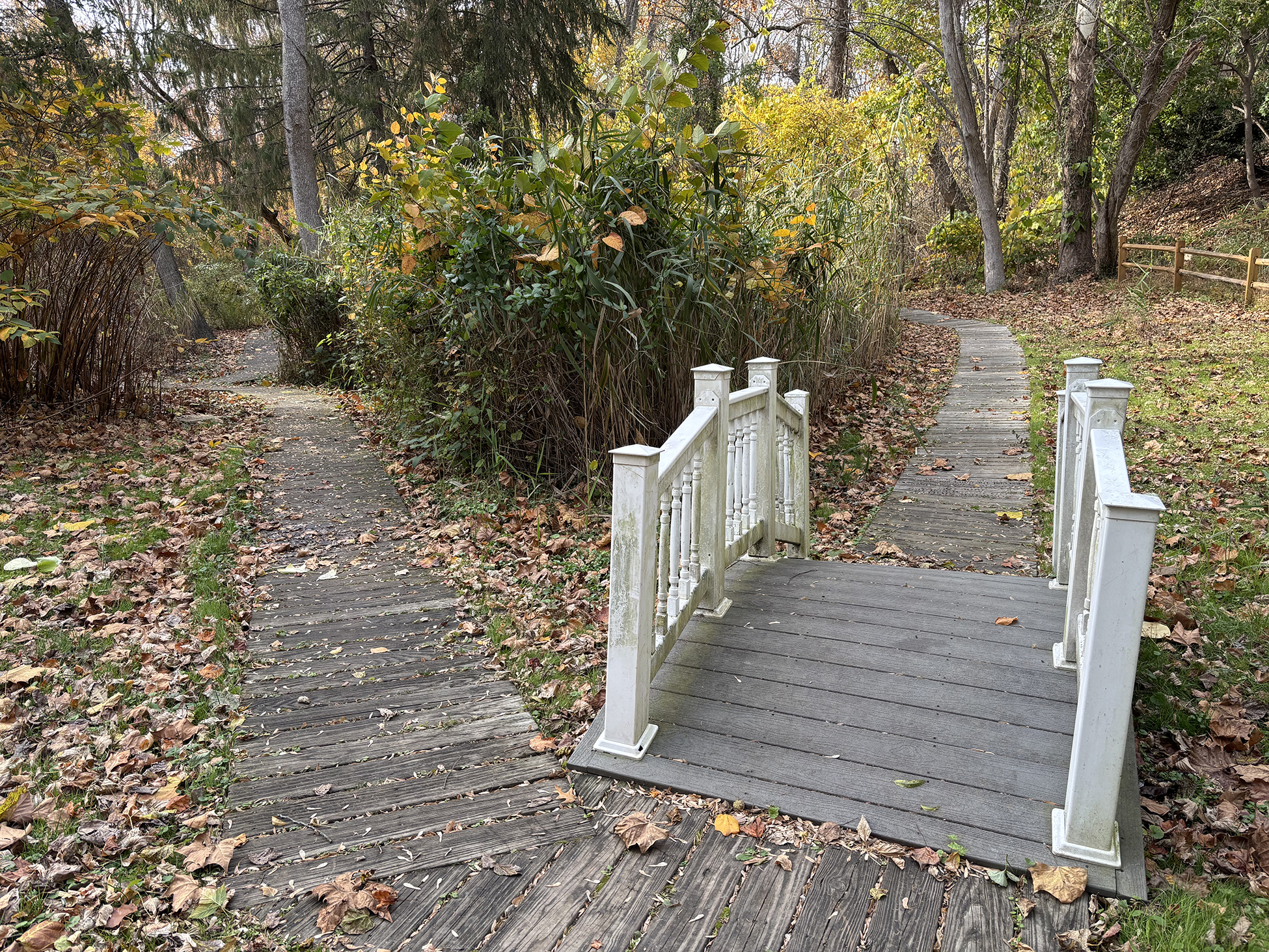 Choosing the Same Path but Changing Direction - The Philosophy of the ...